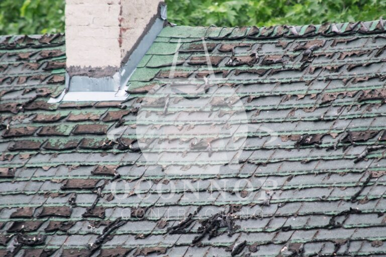 What Causes a Roof To Rot and What Does It Look Like
