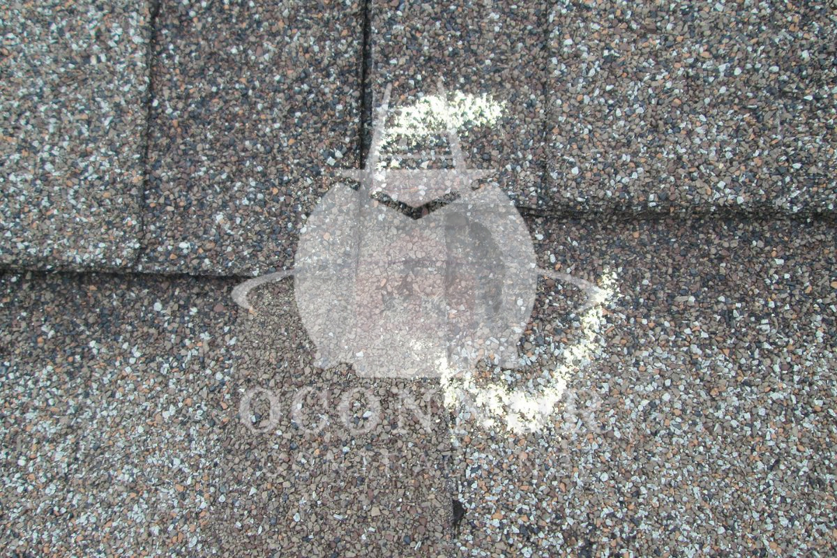 What is Roof Blistering and How to Fix It