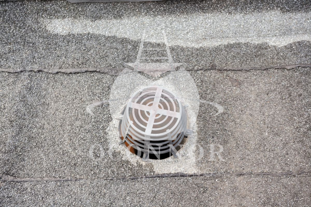 6 Best Roof Drains Of 2025